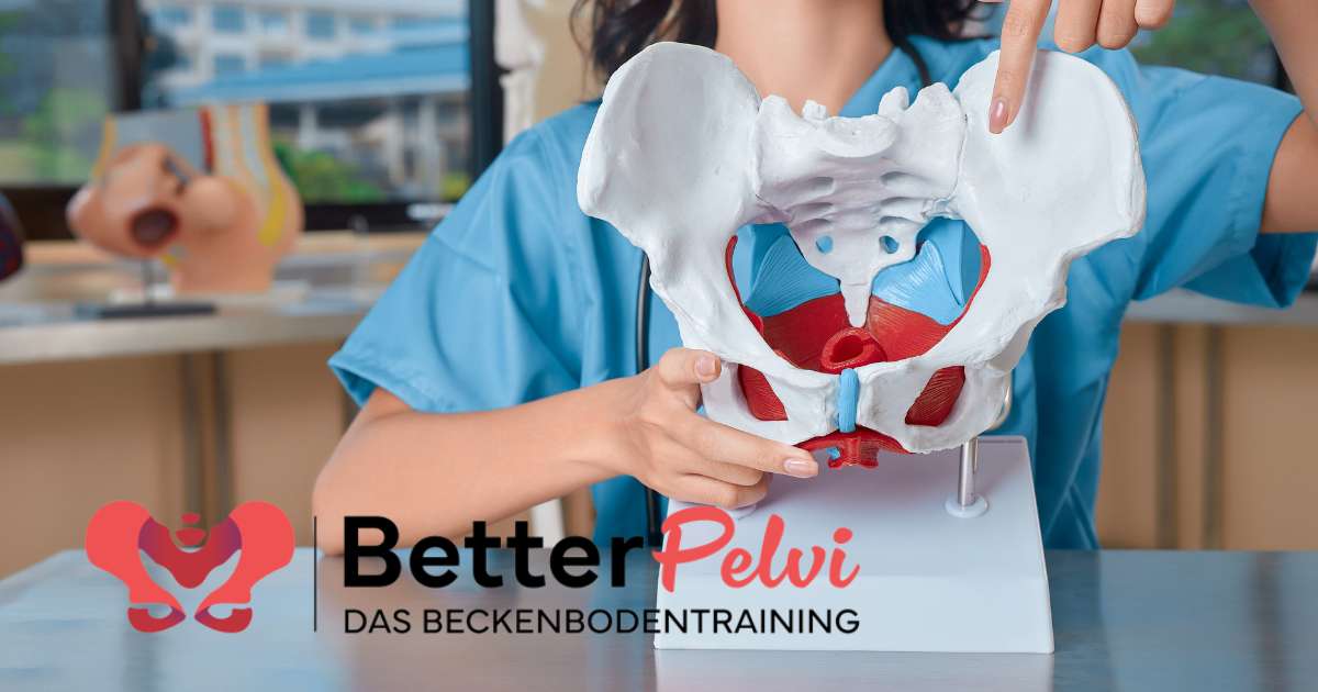 Beckenbodentraining mit Better Pelvi: Die Revolution für dein Wohlbefinden